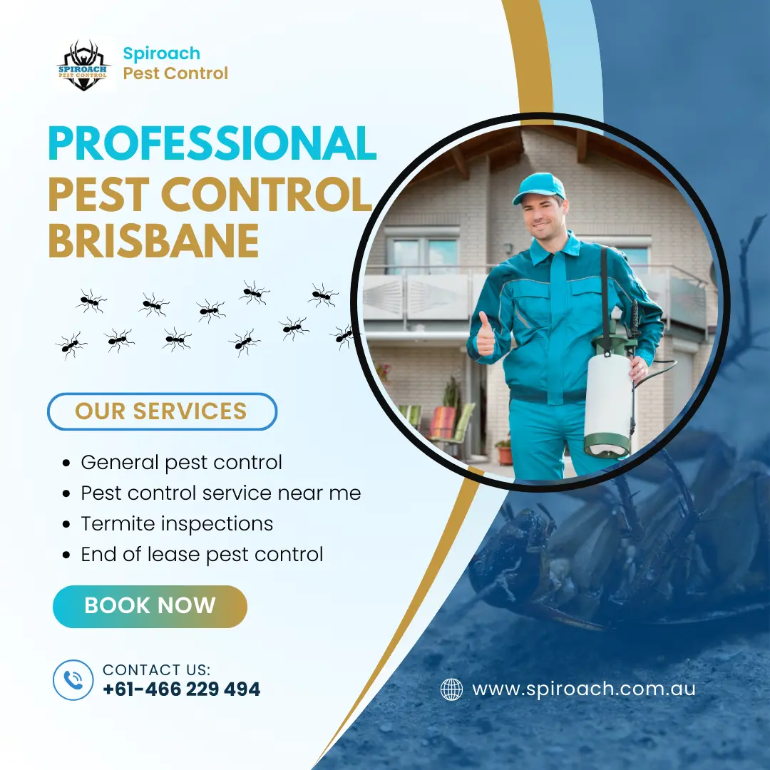 Professional Pest Control Brisbane | Spiroach Pest Experts