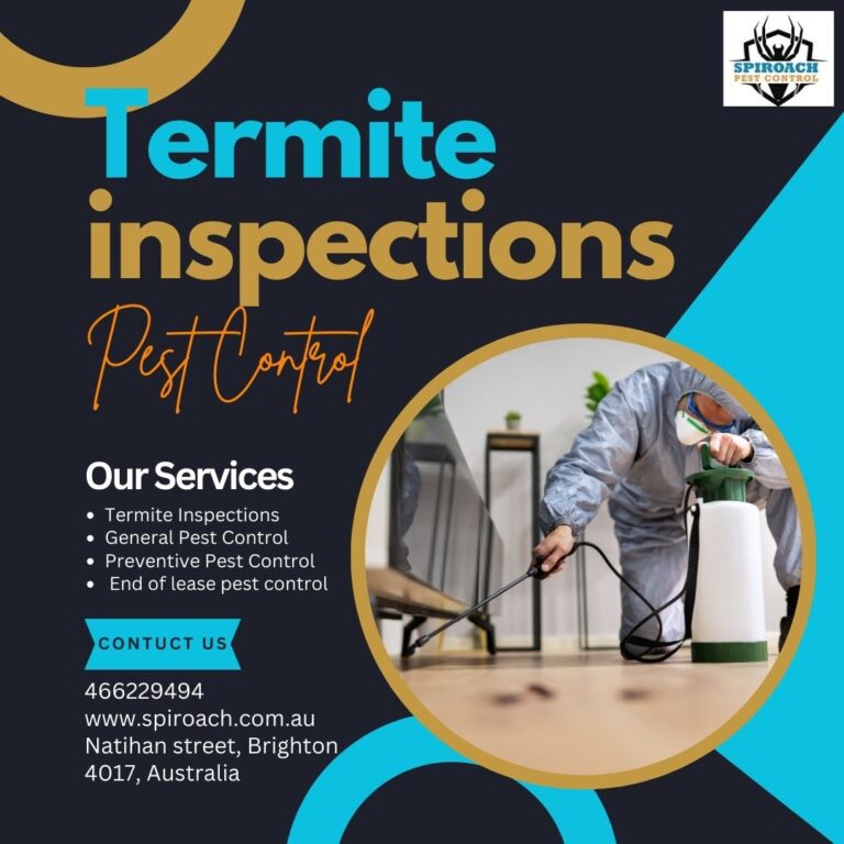 Expert Termite Inspections | Pest Control Brisbane
